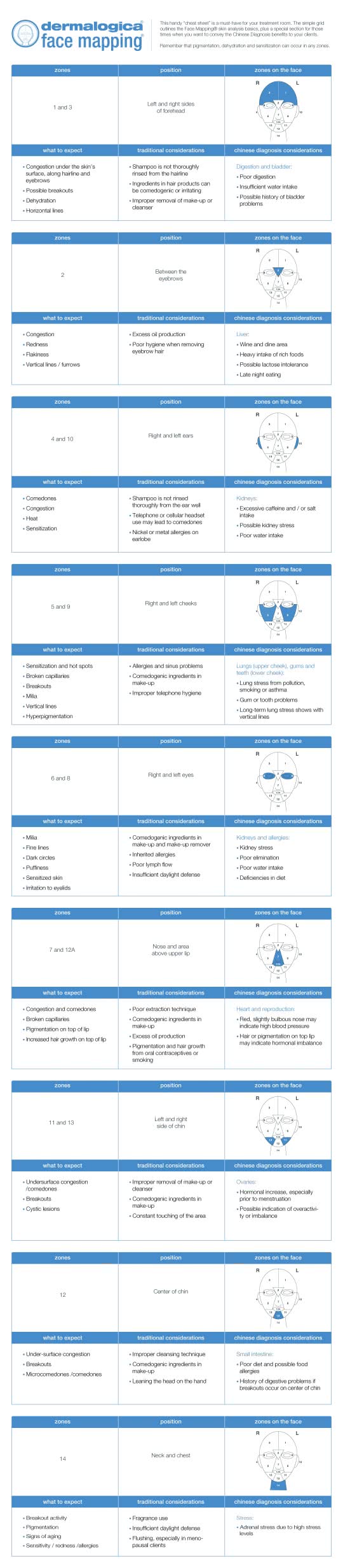 Dermalogica Skin Analysis: What is Face Mapping?