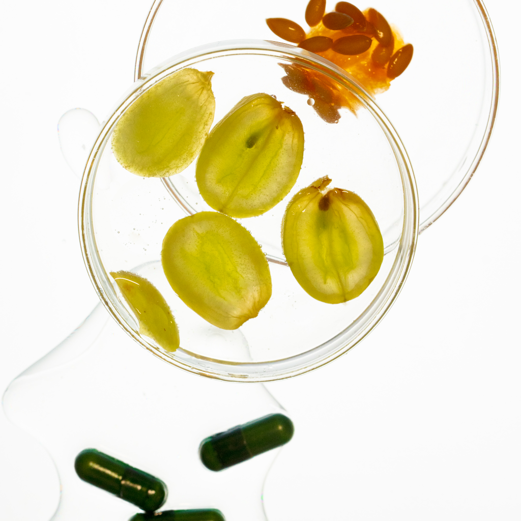 Vida Glow Radiance Capsules Skin Supplements NZ