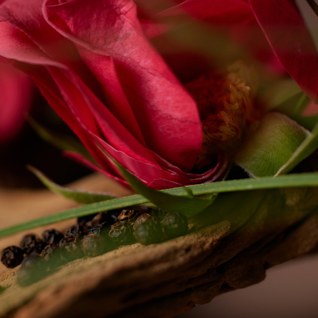 INNISFREE Isle Number Hand Cream - #002 Warm and Fuzzies 50ml NZ ...