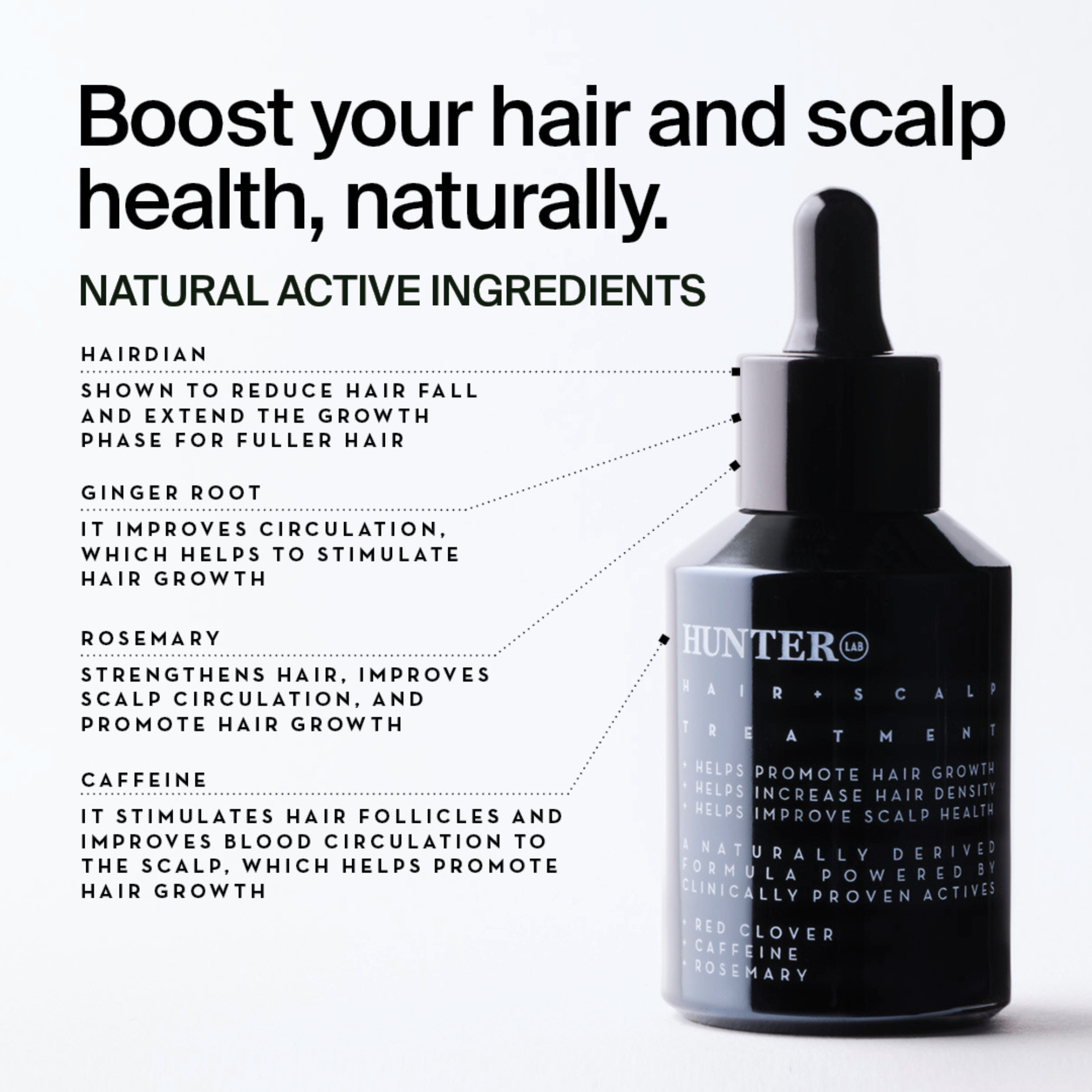 Hunter Lab Hair + Scalp Treatment NZ | Adore Beauty